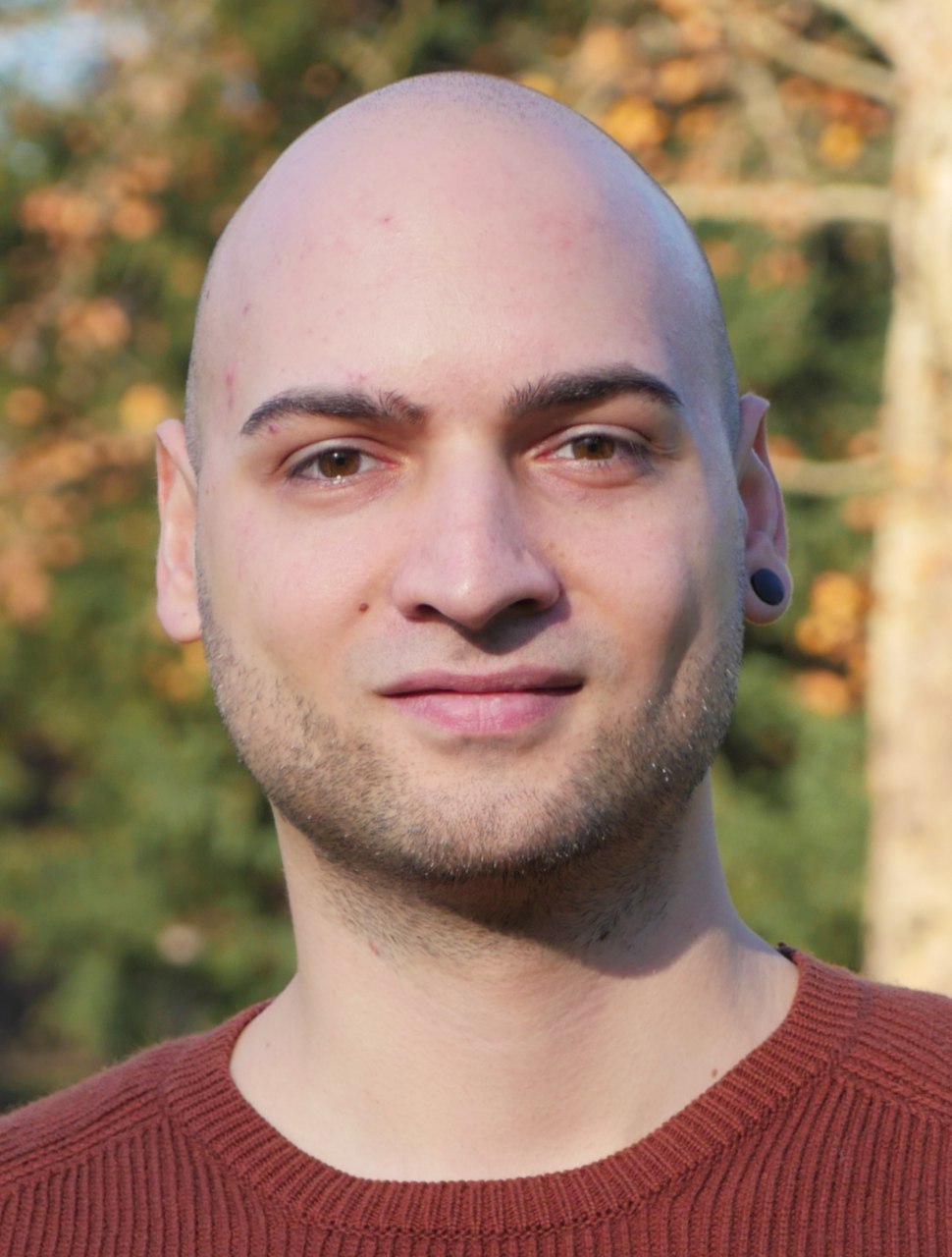 Z-Inspection – Z-Inspection: A holistic and analytic process to assess ...